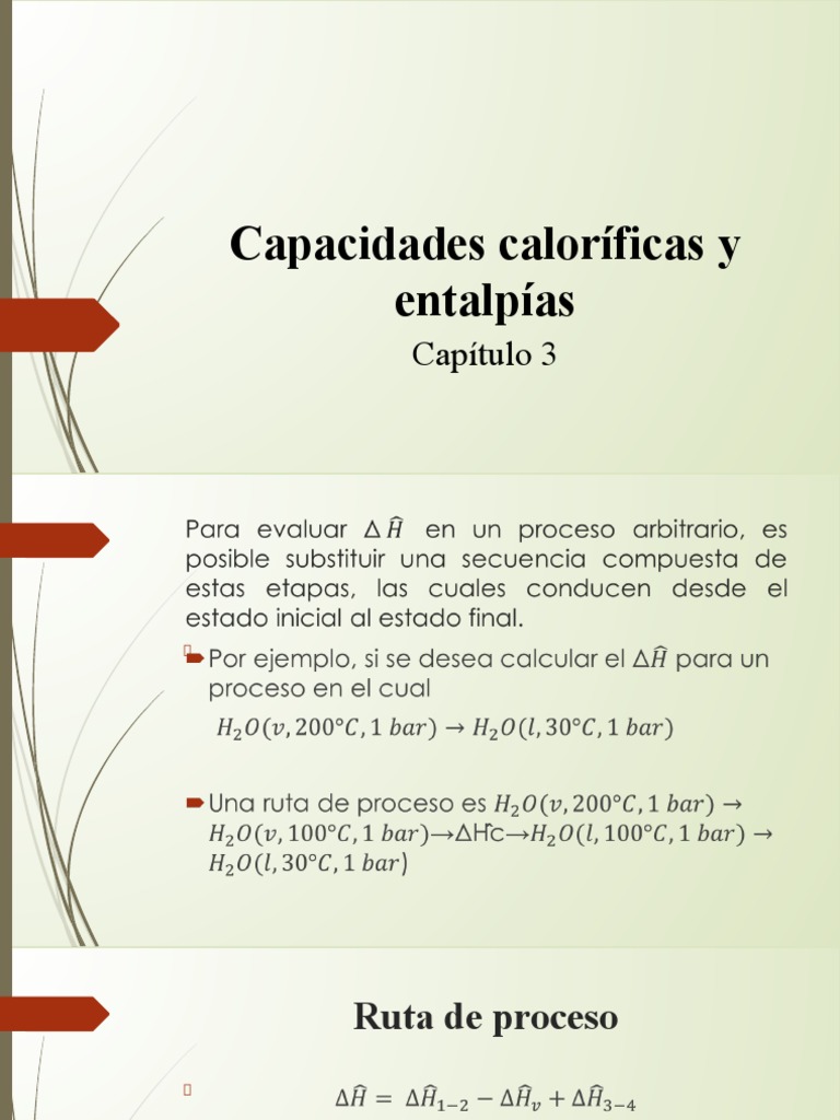 Presentación Capítulo # 3 | PDF