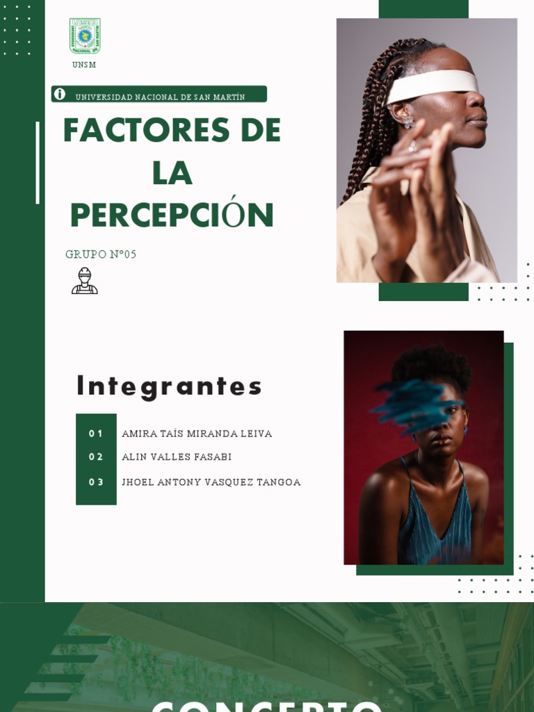 Grupo 05 Factores de La Percepción | PDF | Percepción | Experiencia subjetiva