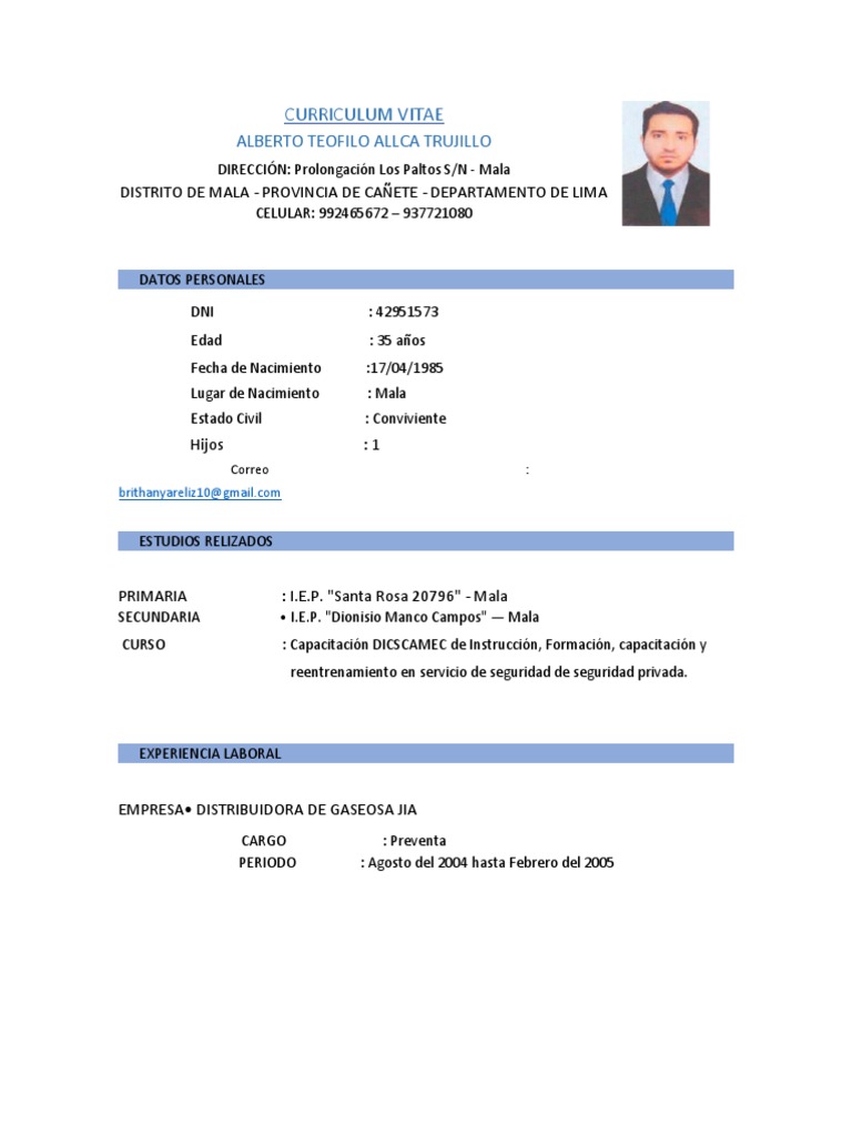 Cv Alberto | PDF