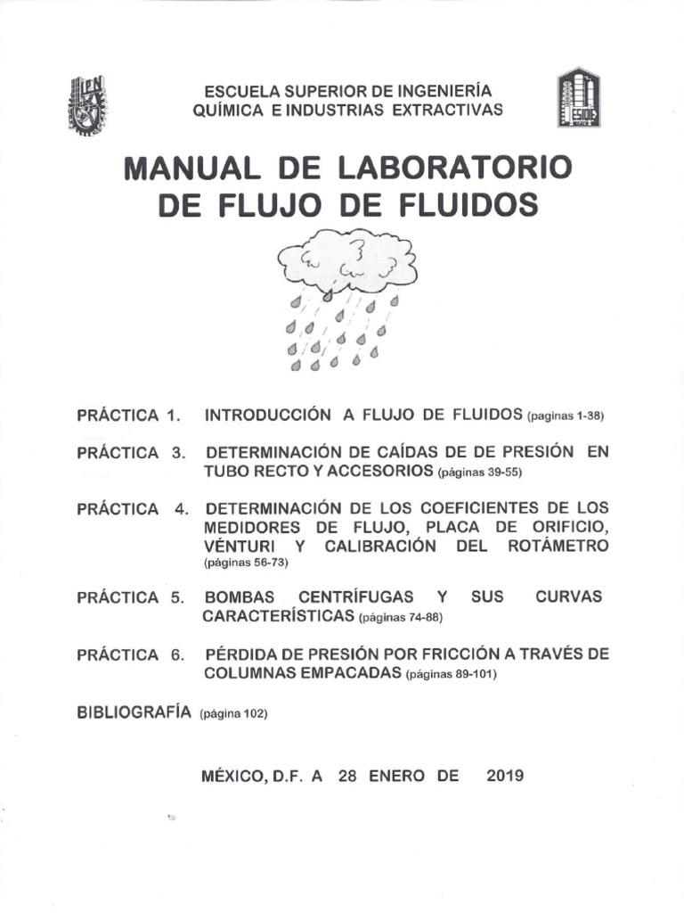 Manual Flujo de Fluidos | PDF | Maestros | Laboratorios