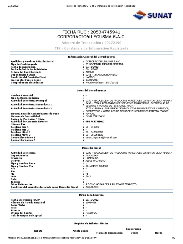 Ficha Ruc-Legusma | PDF | Economias | Business