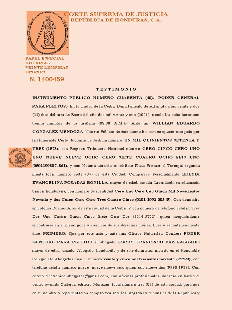 Poder General para Pleito | PDF