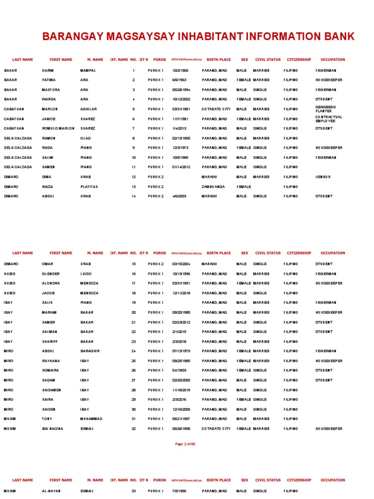 Barangay Magsaysay Resident Data | PDF | Ali