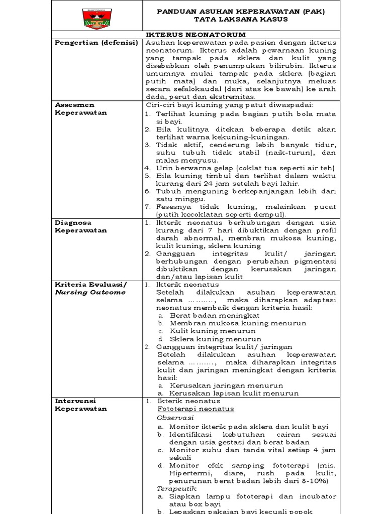 Panduan Asuhan Keperawatan Ikterus Neonatus | PDF