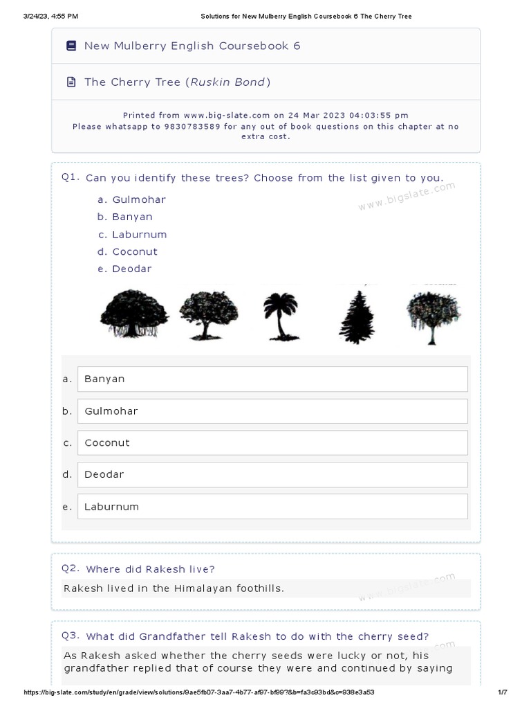 Solutions For New Mulberry English Coursebook 6 The Cherry Tree | PDF ...