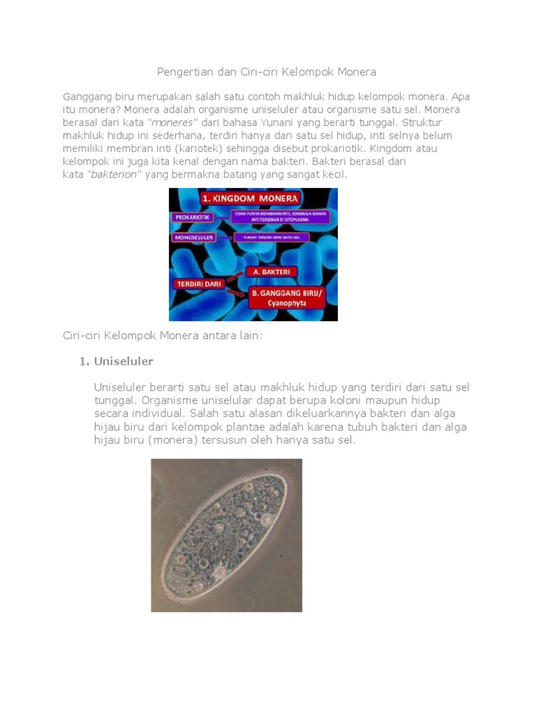 Pengertian Dan Ciri Monera | PDF