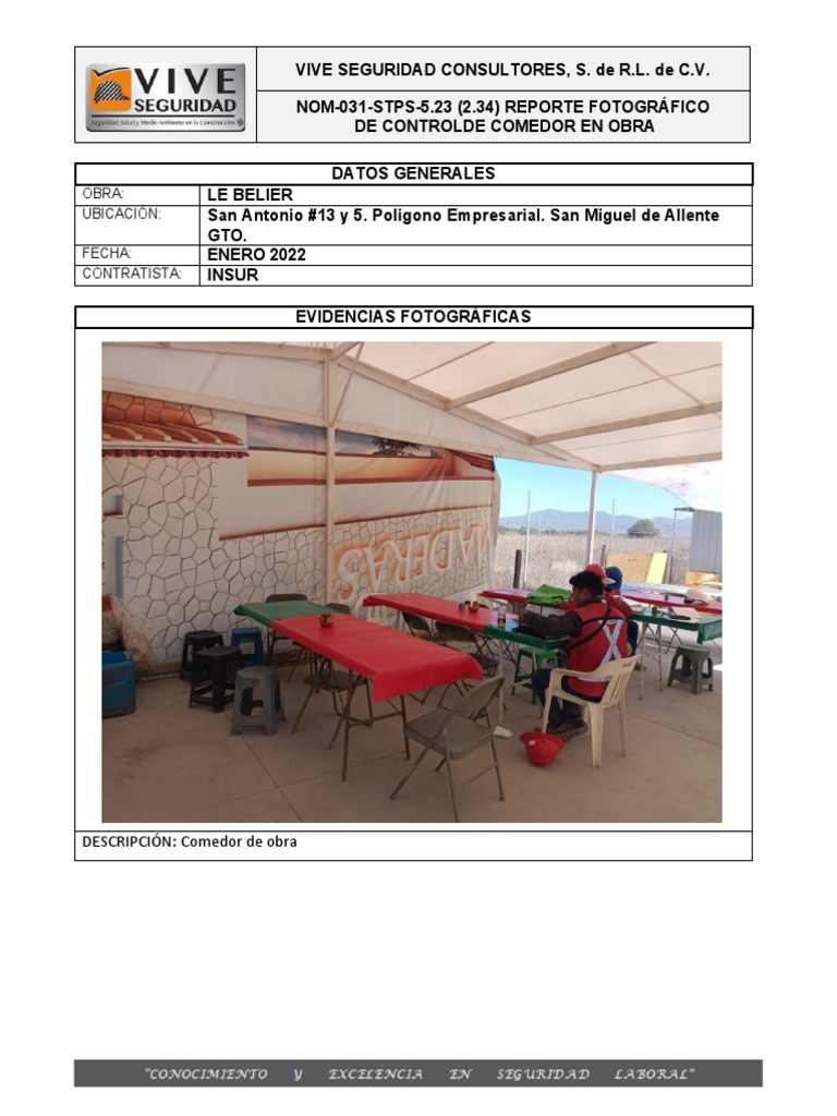 2.34 Reporte Fotografico Control de Comedor | PDF