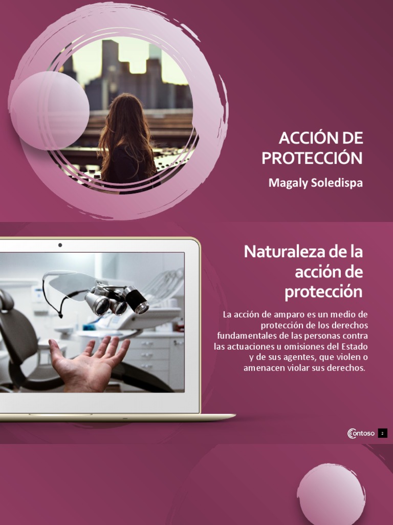 Acción de Protección Resumen | PDF