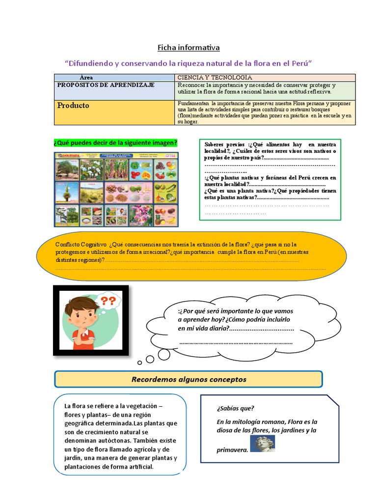Ficha Informativa | PDF | Perú | Plantas