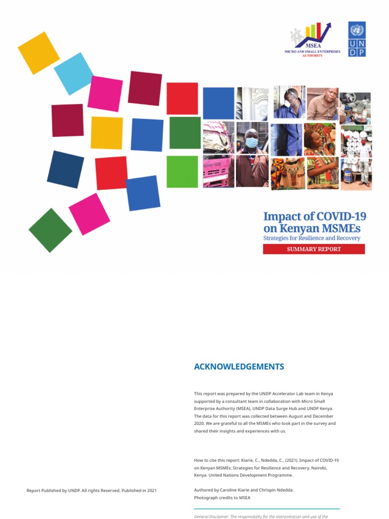 UNDP Kenya MSEA MSME Assessment Summary Report 2021 | PDF