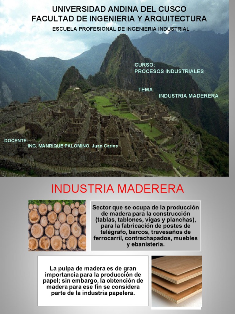 Industria Maderera 2022 - I | PDF | Madera | Deforestación