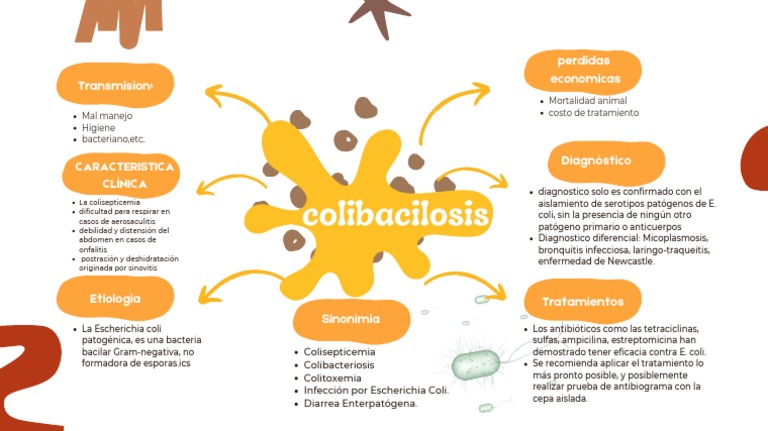 Colibacilosis: Diagnóstico y Tratamiento | PDF