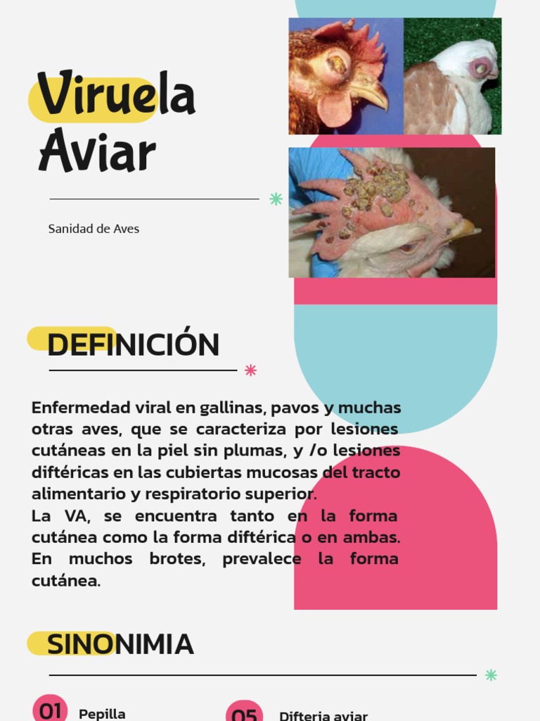 Viruela Aviar | PDF | Especialidades Medicas | Epidemiología