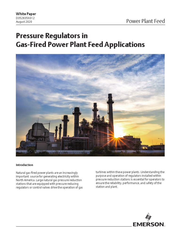White Papers Pressure Regulators in Gas Fired Power Plant Feed ...