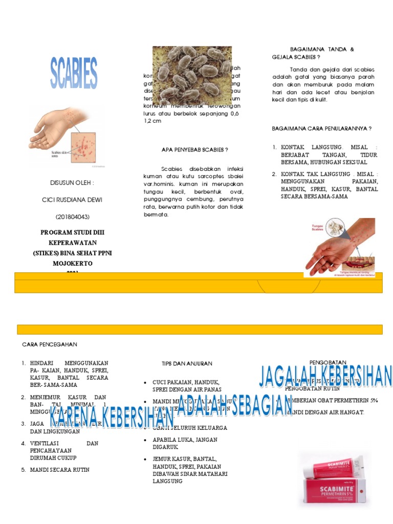 Leaflet Scabies Cici Rusdiana 201804043 | PDF