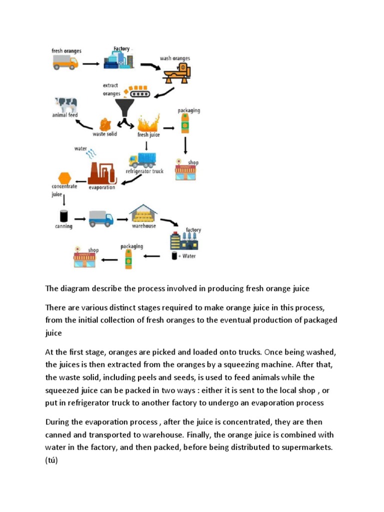Fresh Orange Juice Production Process | PDF | Home & Garden | Science ...