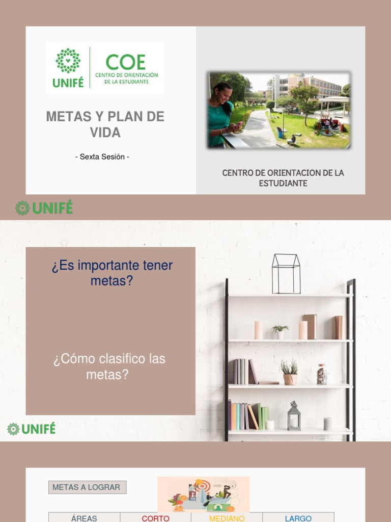 Plan de Desarrollo Individual: 10 Metas | PDF