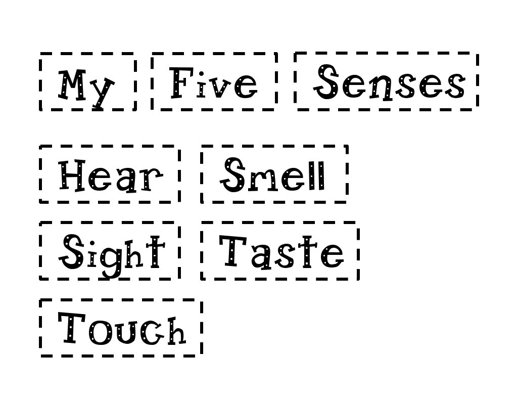 My Five Senses Labels