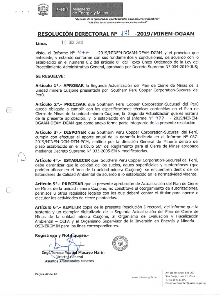 RD 171 2019 Minem Dgaam | PDF