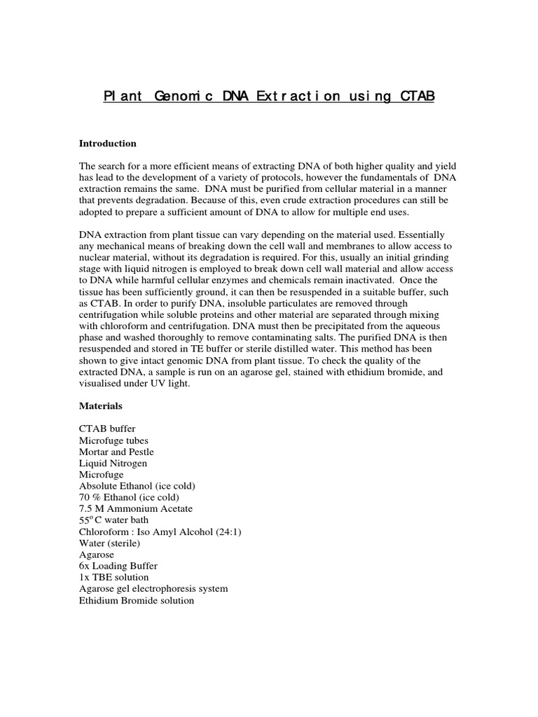Plant Genomic Dna Extraction by Ctab 2 Fiona | PDF | Agarose Gel ...