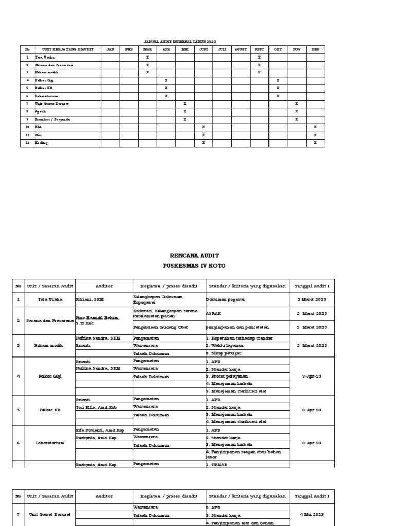 TUGAS JADWAL DAN RENCANA AUDIT INTERNAL IV KOTO | PDF