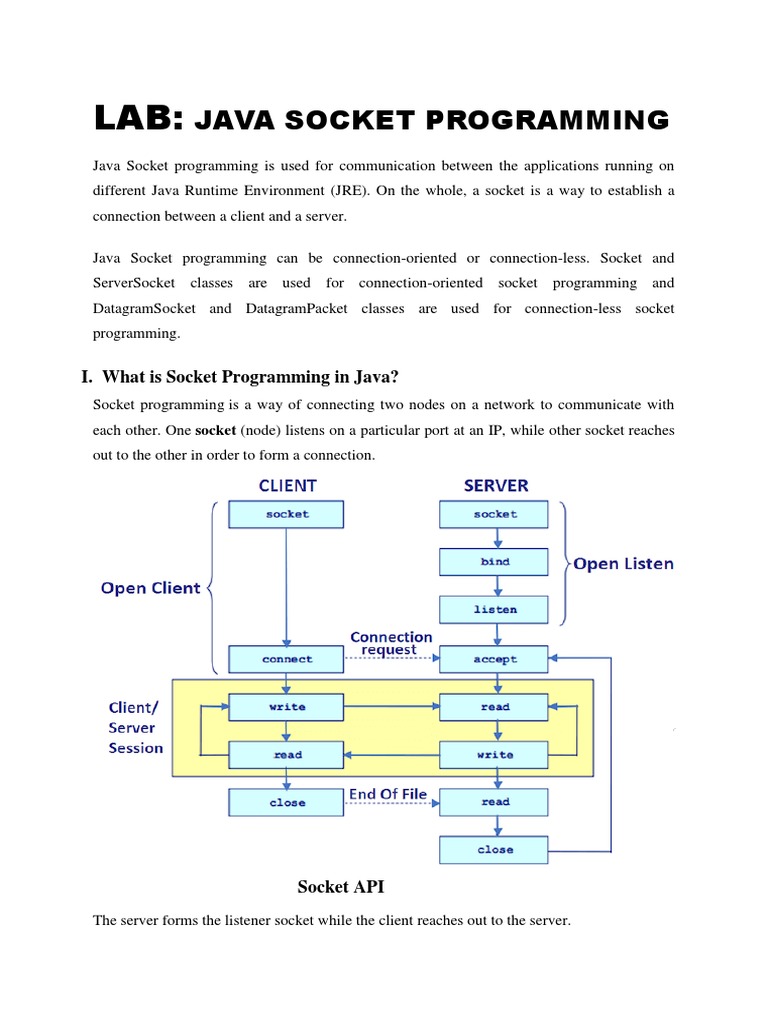 Lab Socket Programming Descargar Gratis Pdf Network Socket Port Computer Networking
