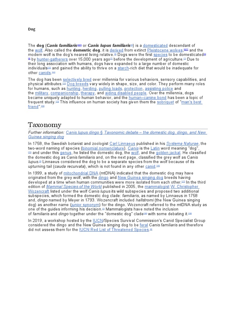 Dog 1 | PDF | Dogs | Mammals