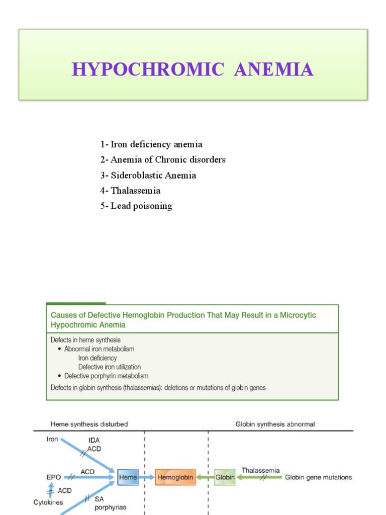3 - Iron Deficiency Anemia + ACD+Abnormal Heme Synthesis | PDF | Anemia ...