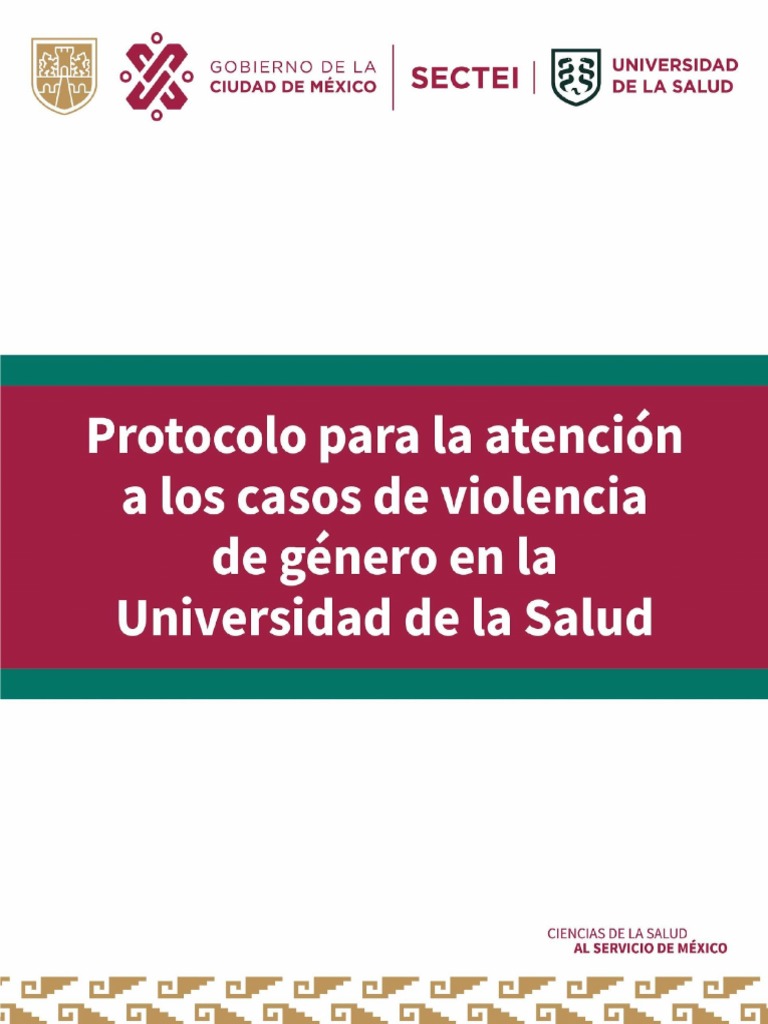 Protocolo Atencion Violencia de Genero 10032023 | PDF | La violencia contra las mujeres | Acoso ...