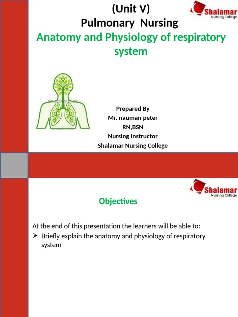 Anatomy & Physiology of Respiratory System | PDF | Respiratory Tract | Lung