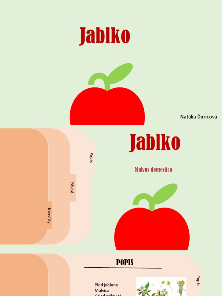 Prezentácia5 - Kópia | PDF