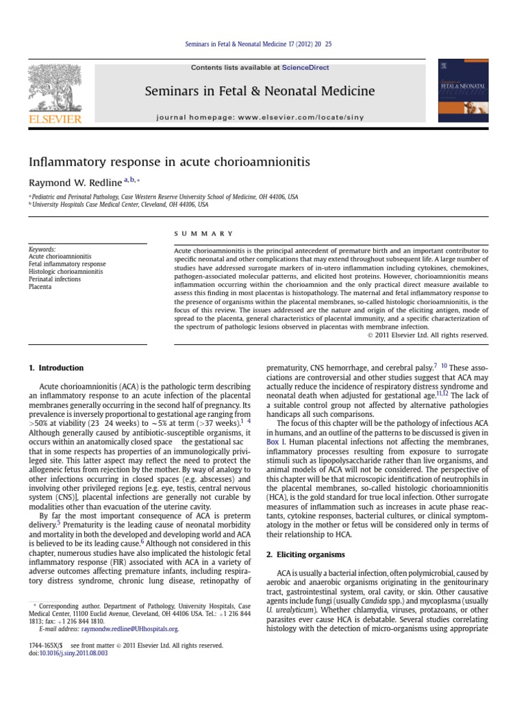 Acute Chorioamnionitis Pathology Review | PDF