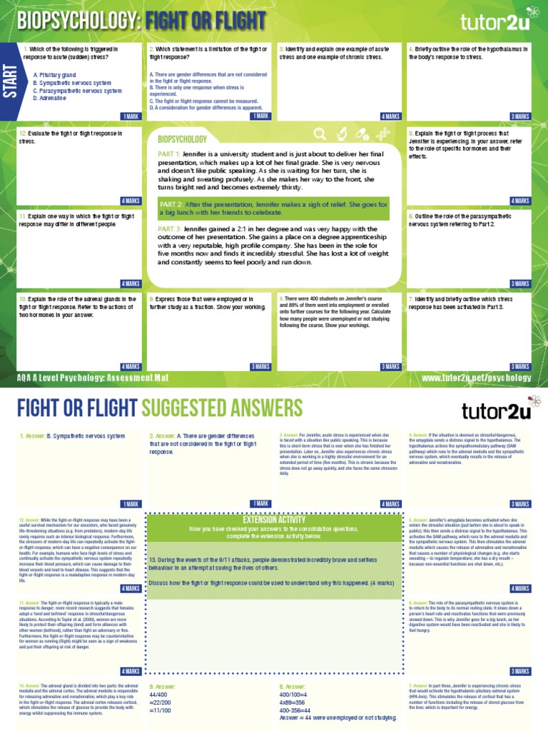 Biopsychology Assessment Mat | PDF