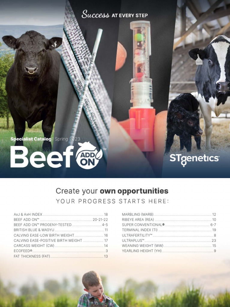 STgenetics-Specialist-BEEF-Spring2023_web_ | PDF | Livestock | Cattle