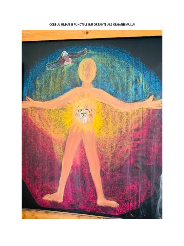 CORPUL UMAN SI FUNCTIILE IMPORTANTE ALE ORGANISMULUI | PDF