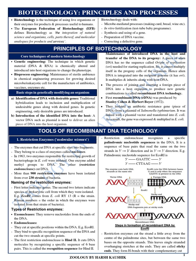 Biotechnology Principle and Processes-Notes | PDF | Plasmid | Molecular ...