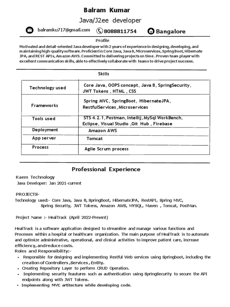 Balram Resume | PDF