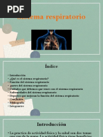 Sistema RESPIRATORIO | PDF