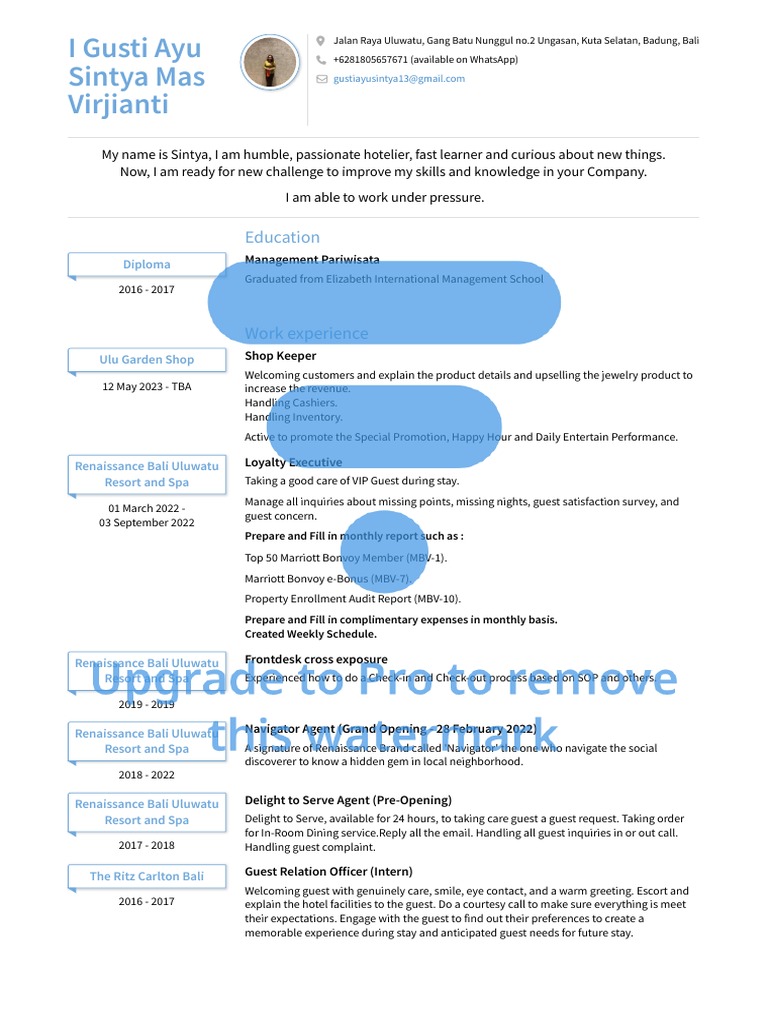 Ayu Sintya (CV) | PDF