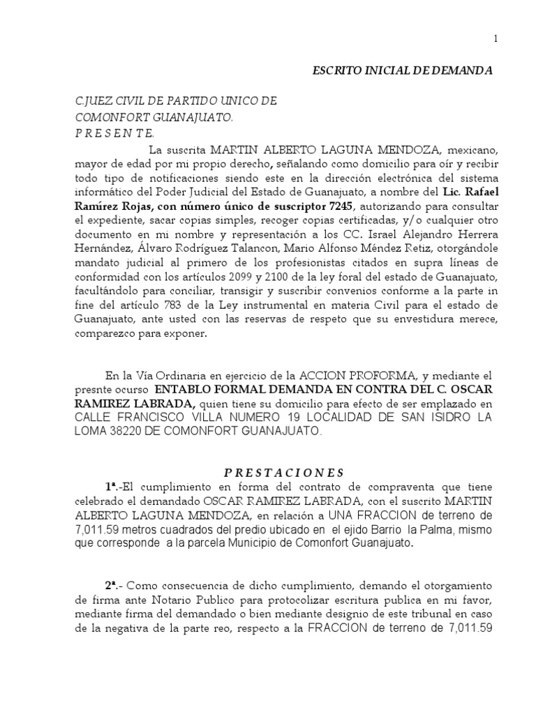 Demanda Accion Proforma Martin Alberto Laguna Mendoza | PDF