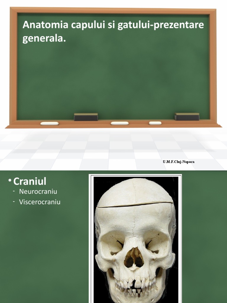 Cap Gat AML | PDF