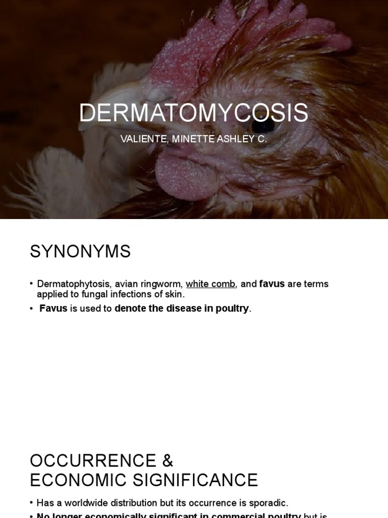 DERMATOMYCOSIS | PDF