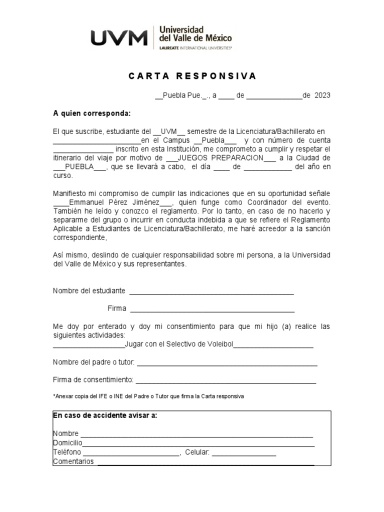 Formato Carta Responsiva | PDF