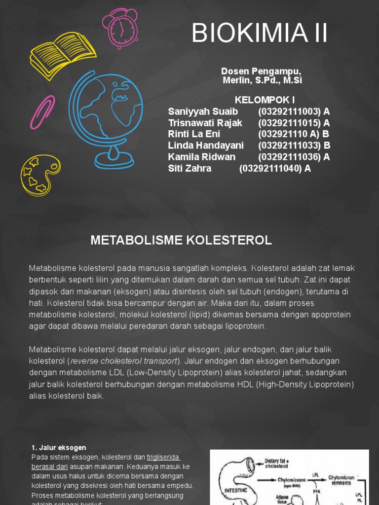 Metabolisme Kolesterol | PDF
