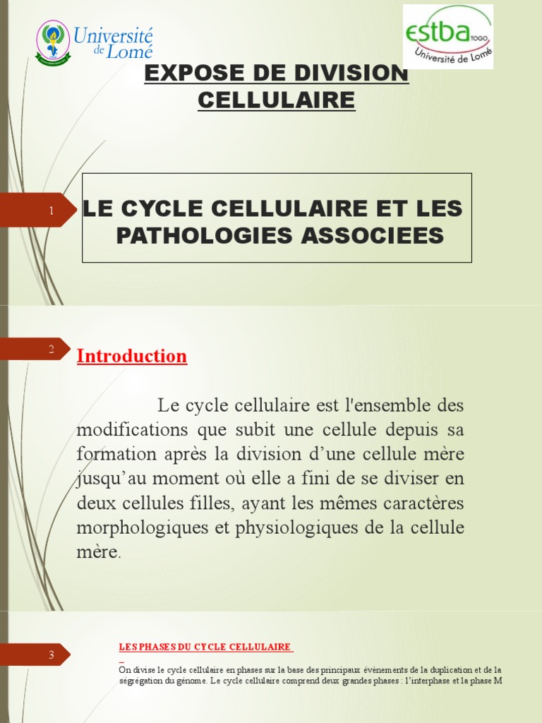 Cycle cellulaire et pathologies associées | PDF | Mitose | Cycle cellulaire