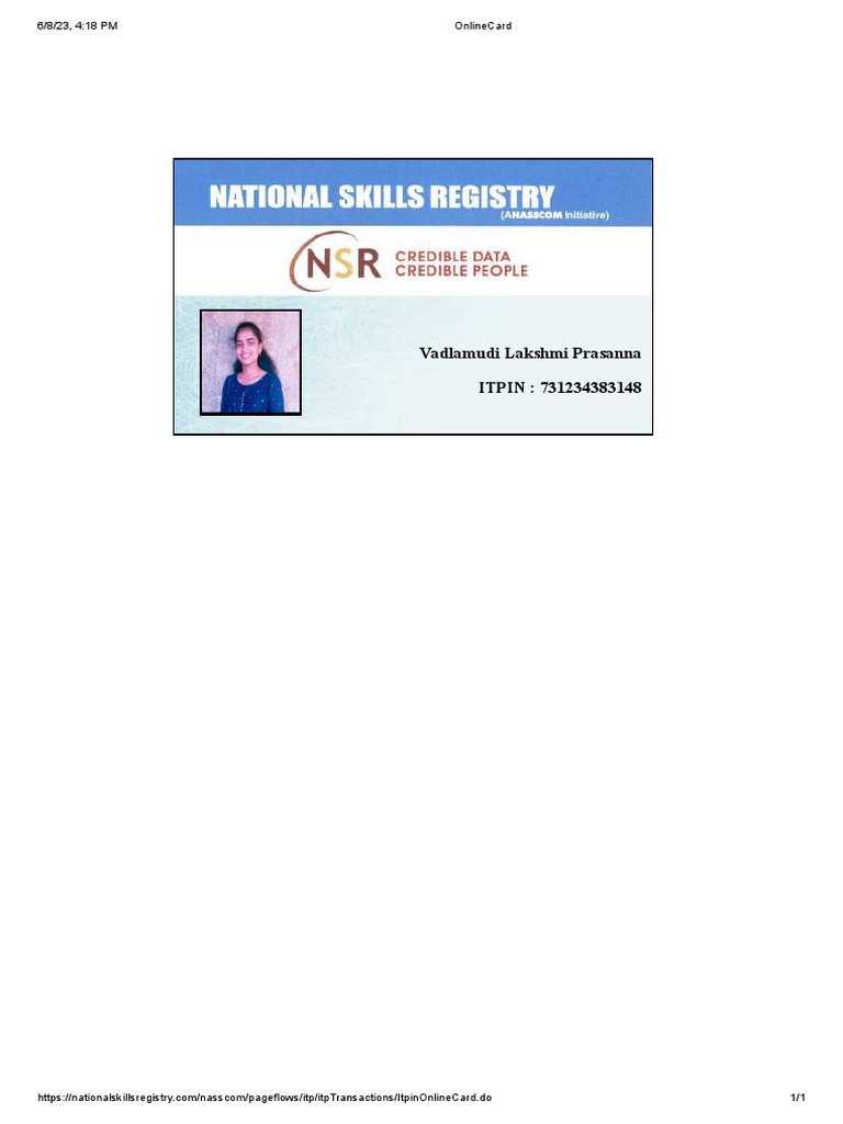 nsr e card | PDF