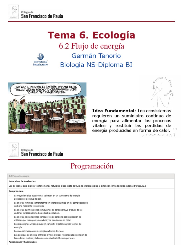 GTP T6.ecología 2 Parte Flujo de Energía 2018-20 | PDF | Tecnología