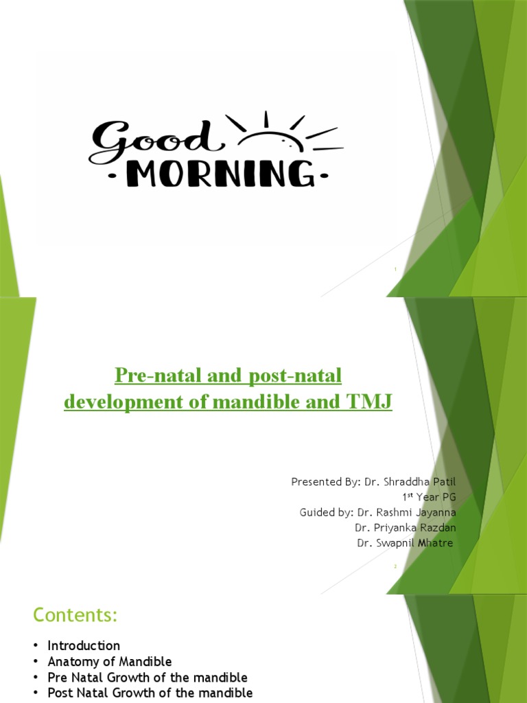 Mandibular Development: Pre & Postnatal Insights | PDF | Human Head And ...