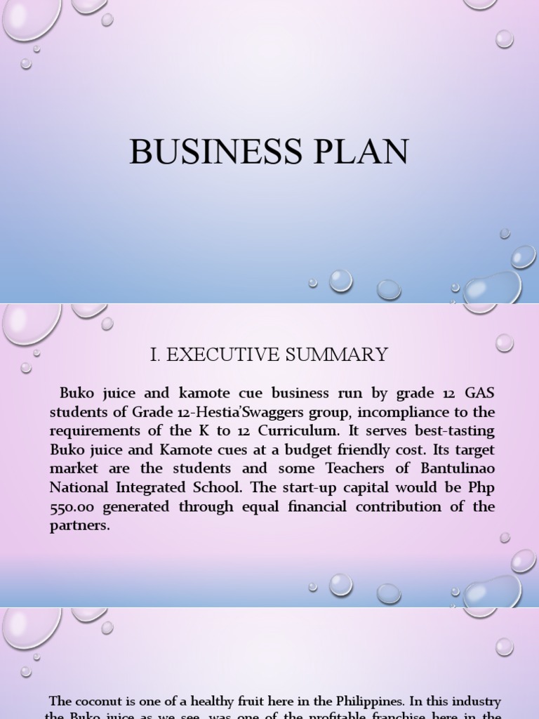 BUSINESS PLAN Presentations | PDF