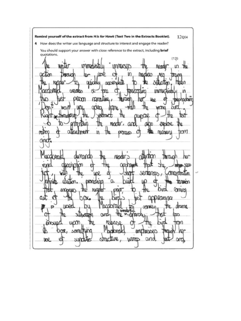 H Is For Hawk Full Mark Exemplar | PDF